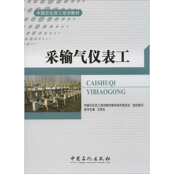 采输气仪表工 王雨生 主编 作 书籍