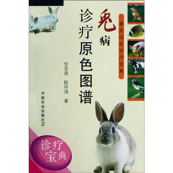 兔病诊疗原色图谱 任克良 等 作 书籍