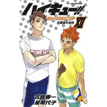 j-BOOKS 排球少年 12 ハイキュー!! ショーセツバン!! 12 文库小说 古舘春一 集