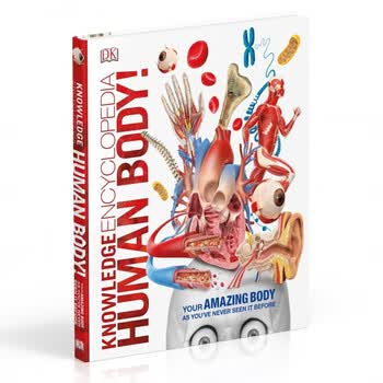 现货英文原版 DK Knowledge Encyclopedia Human Body DK