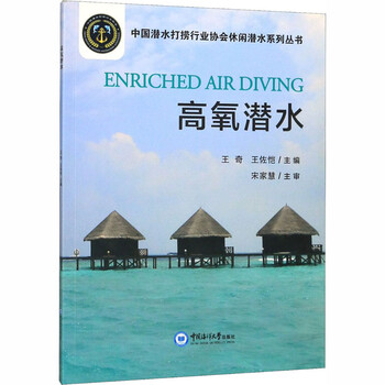 高氧潜水 王奇,王佐恺 编 书籍