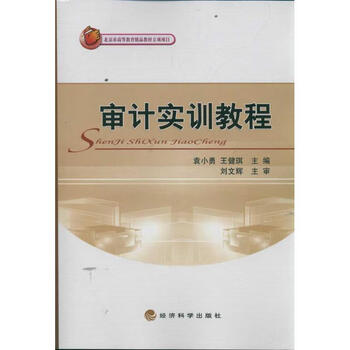 审计实训教程 袁小勇 王健琪 作 书籍