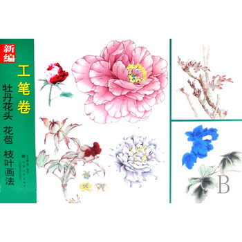 新编牡丹花头花苞枝叶画法(工笔卷)