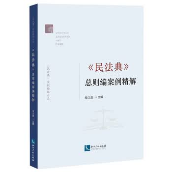 民法典总则编案例精解/民法典案例精解书系