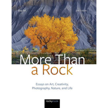 More Than a Rock, 2nd Edition: Essays on Art...