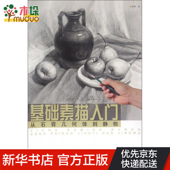 基础素描入门(从石膏几何体到静物)