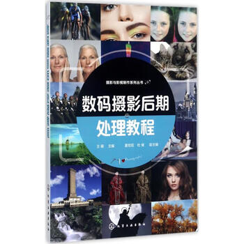 数码摄影后期处理教程 王萌 主编 书籍