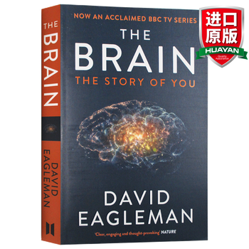 英文原版 大脑的故事 The Brain The Story of You 深入大脑 大卫伊格曼