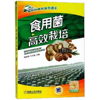 食用菌高效栽培 编者:国淑梅//牛贞福  书籍