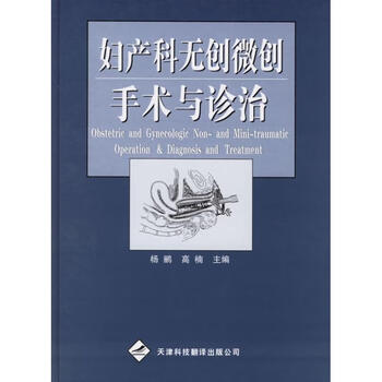 妇产科无创微创手术与诊治 杨鹂 作 书籍