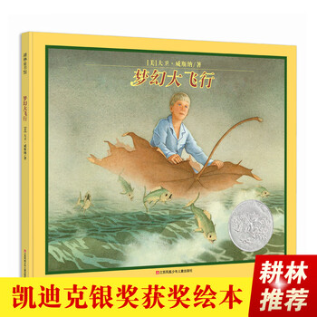 耕林凯迪克银奖绘本：梦幻大飞行（一场不可思议的冒险之旅，神奇无字书）