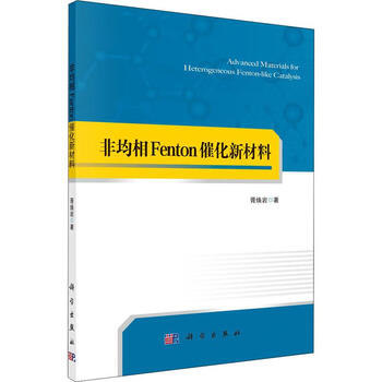 非均相Fenton催化新材料 胥焕岩  书籍