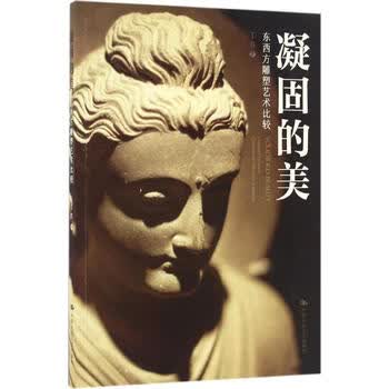 凝固的美 丁方  书籍
