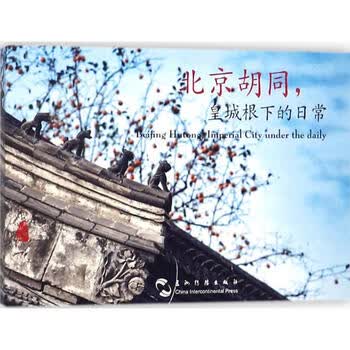 北京胡同 王文波 等 摄影 书籍