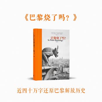 巴黎烧了吗？