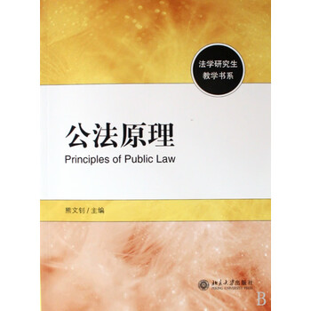 公法原理/法学研究生教学书系