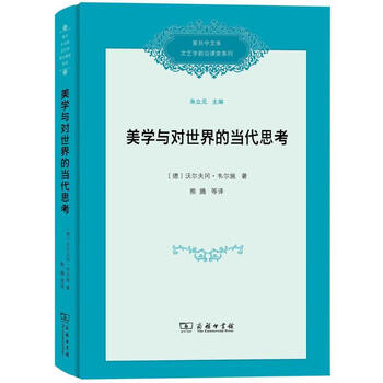 美学与对世界的当代思考 书籍