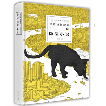 你应该阅读的中国微型小说 精装版