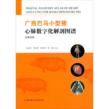 广西巴马小型猪心肺数字化解剖图谱：汉英对照