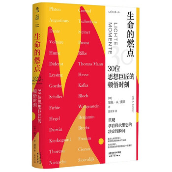 生命的燃点(30位思想巨匠的顿悟时刻) (德)奥托·A.波默