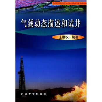 气藏动态描述和试井 庄惠农【正版图书】
