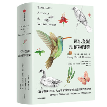 【单本自选】 瓦尔登湖动植物图鉴