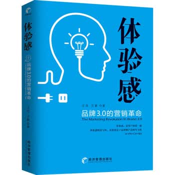 体验感 品牌3.0的营销革命 汪吉,汪豪  书籍