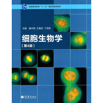 细胞生物学 【正版书】