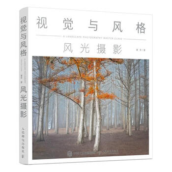 视觉与风格 风光摄影董冬人民邮电出版社9787115518217 摄影书籍