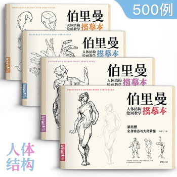 经典全集《伯里曼人体结构教学描摹本》4册全套正版速写人物结构绘画练习教程教材杨建飞主编