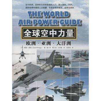 全球空中力量  (英)雷格；雷小兵 等 书籍