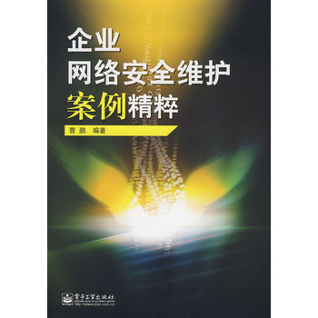 企业网络安全维护案例精粹【正版图书】