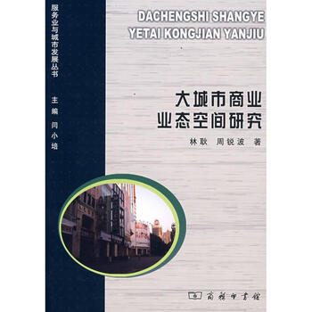 大城市商业业态空间研究 林耿//周锐波  书籍