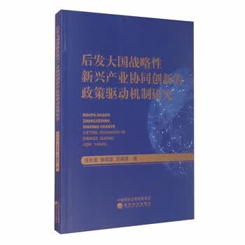 后发大国战略性新兴产业协同创新的政策驱动机制研究
