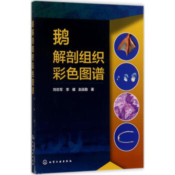 鹅解剖组织彩色图谱