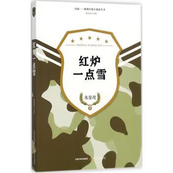 红炉一点雪 朱旻鸢 ；朱向前 丛书主编 书籍