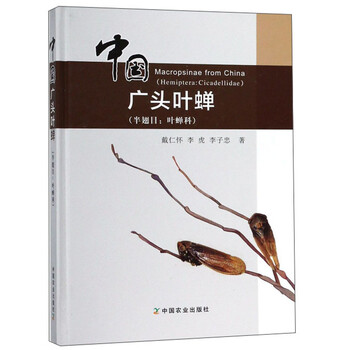 中国广头叶蝉（半翅目叶蝉科）