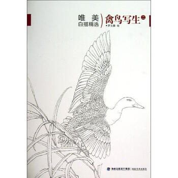 唯美白描精选(2)禽鸟写生 罗玉鑫 作 书籍