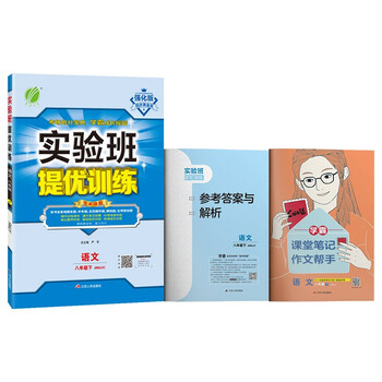 实验班提优训练 初中语文八年级下册人教版(RMJY)课时同步强化练习2022年春 含答案