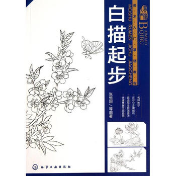 白描起步 张恒国 等  书籍