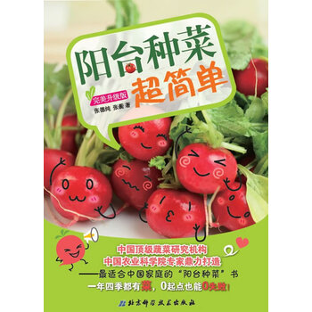 阳台种菜超简单升级版