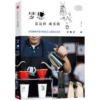 梦想是这样成真的【正版图书】