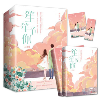  笙笙予你 顾南西 温润与偏执的外科医生vs神秘感十足的摇滚女星 暖文甜宠青春言情小说