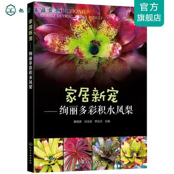 家居新宠——绚丽多彩积水凤梨