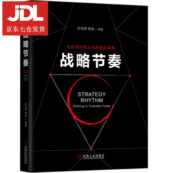 战略节奏 朱恒源,杨斌等 著 9787111595977