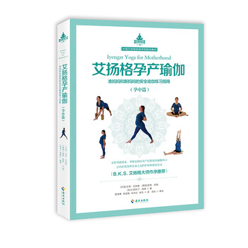 艾扬格孕产瑜伽 海南出版社 