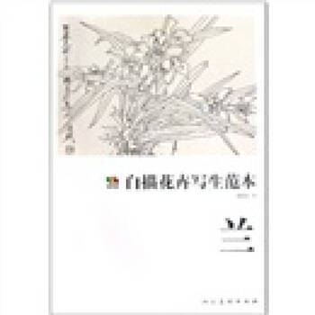 兰 白描花卉写生范本 陈再乾