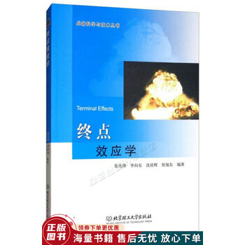 终点效应学/兵器科学与技术丛书