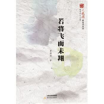 若将飞而未翔 黄德海