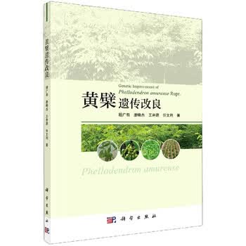 黄檗遗传改良